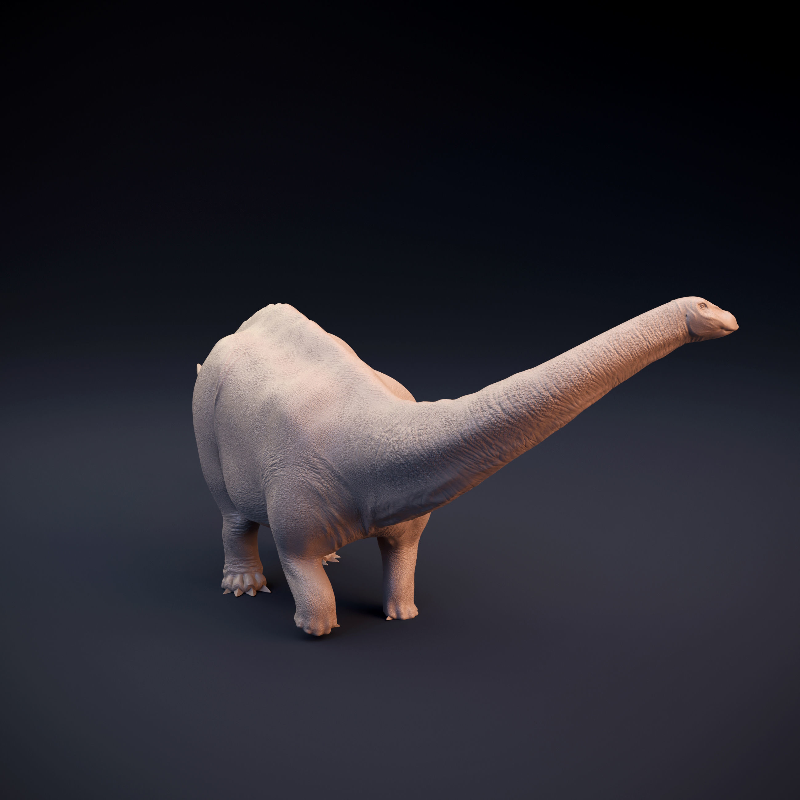 Apatosaurus intended for 3D printing 3D model 3D printable | CGTrader