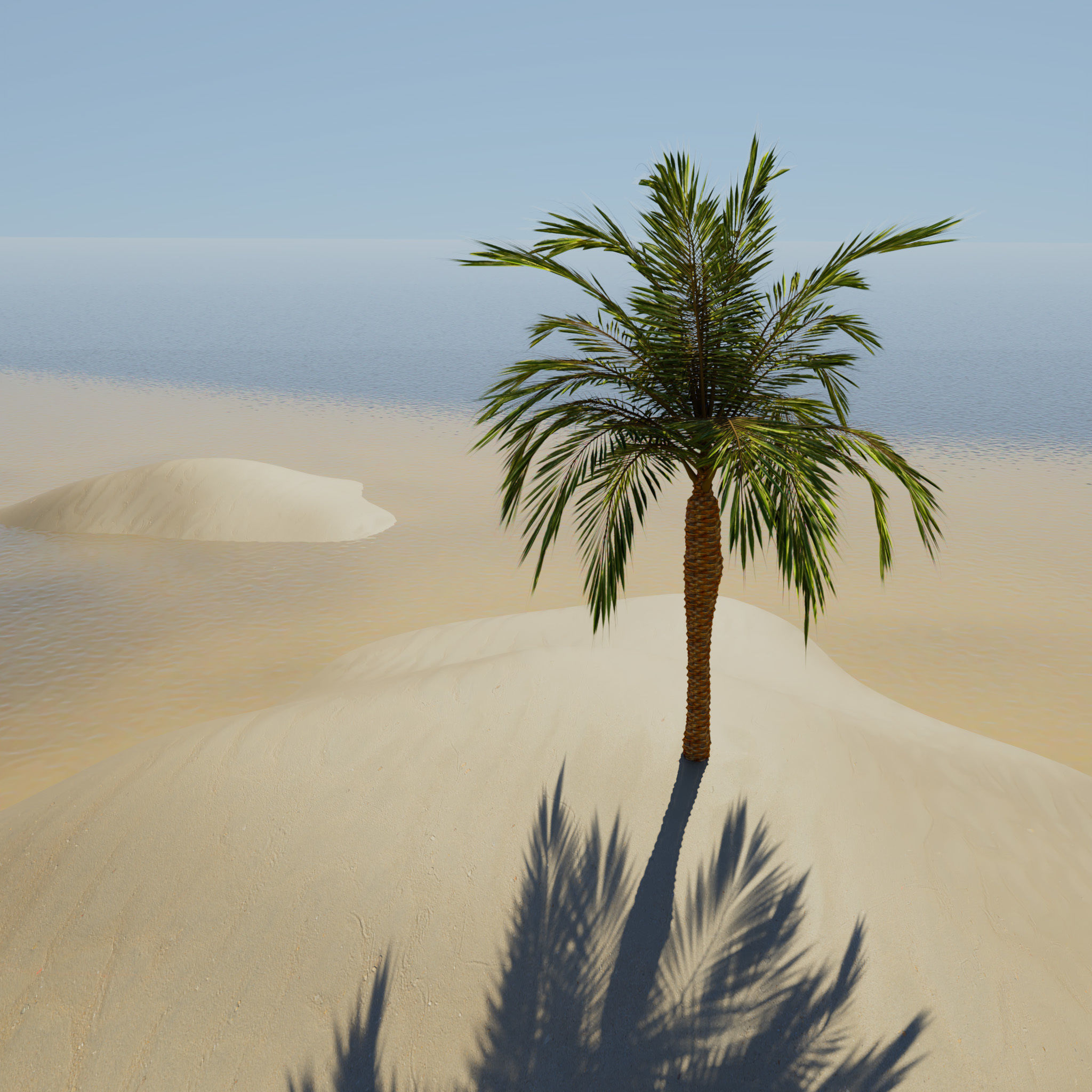 Simple Palm Tree 3D model | CGTrader