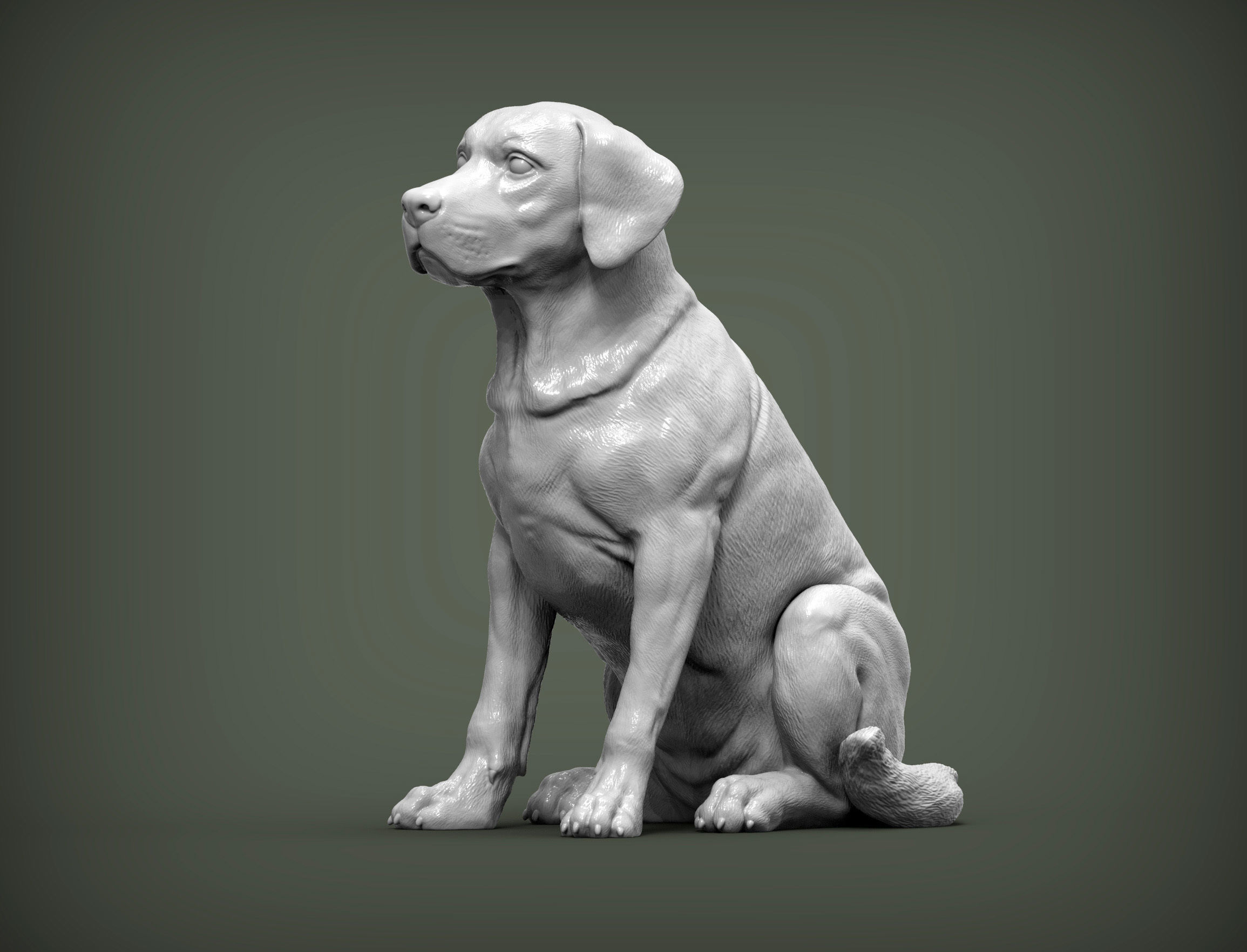 Labrador retriever 3D model 3D printable | CGTrader