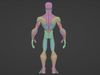 Infinity Style Stylized Male Anatomy Blockout 3D model | CGTrader