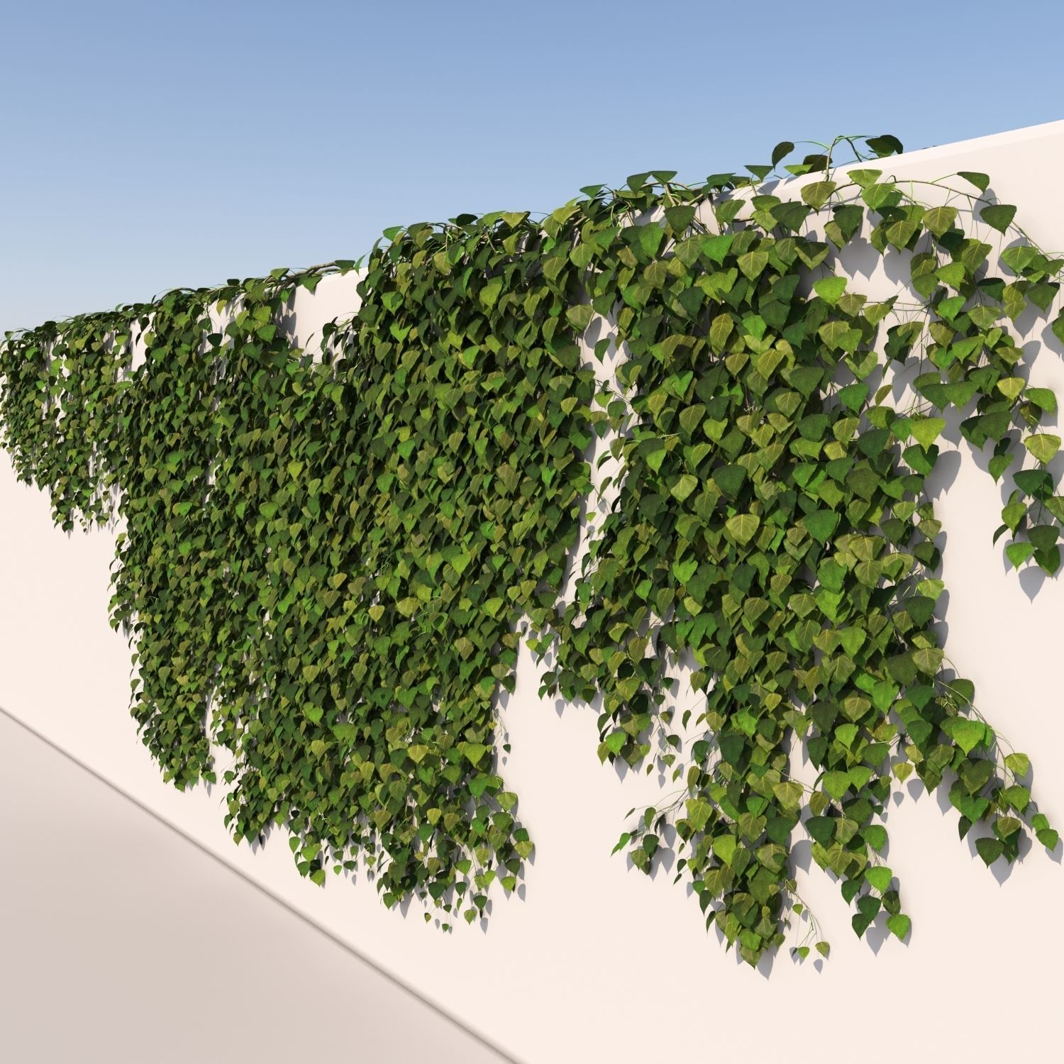 Realistic High Poly Hanging Ivy 3D model | CGTrader