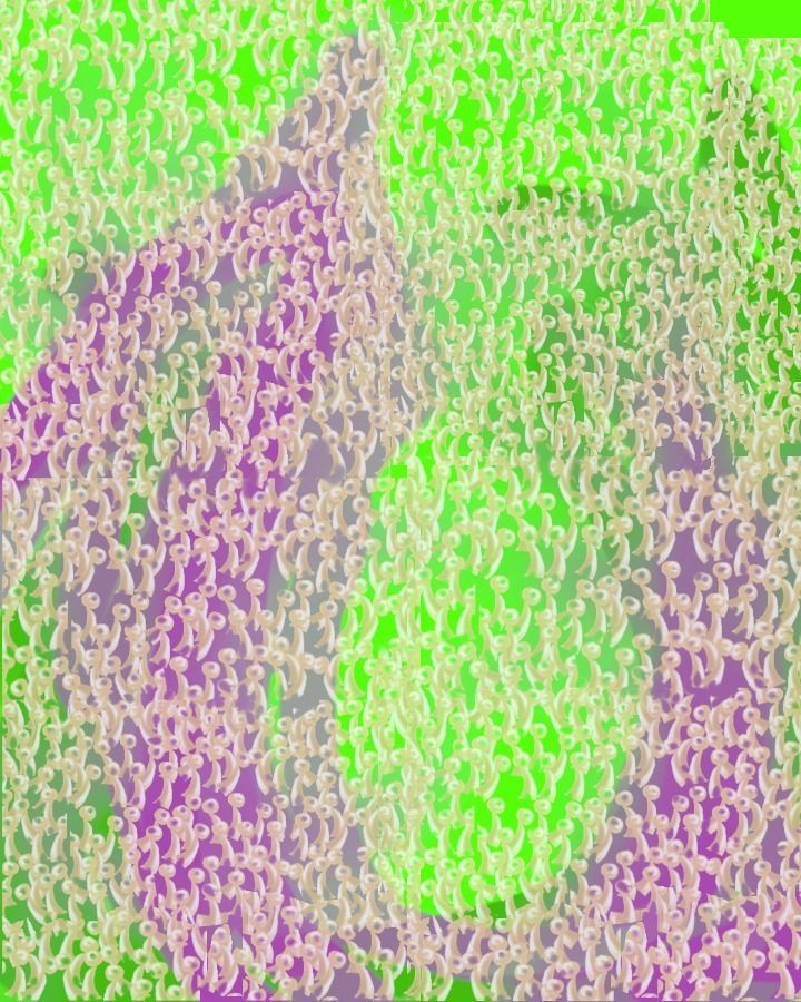 3D model Cannabis Flower VR / AR / low-poly | CGTrader