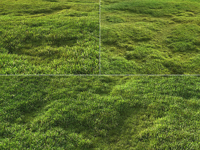 Tileable grass 3D model | CGTrader