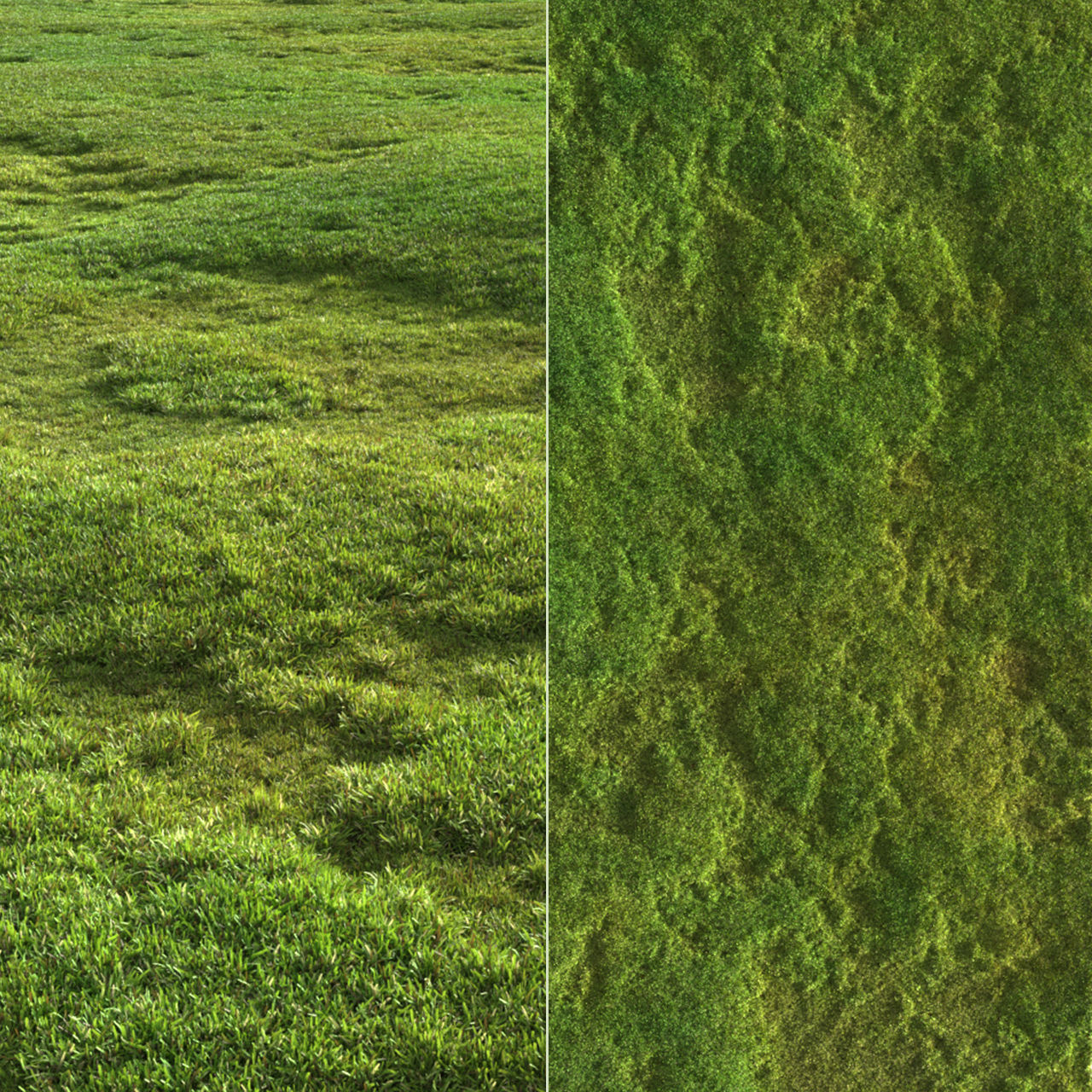 Tileable grass 3D model | CGTrader