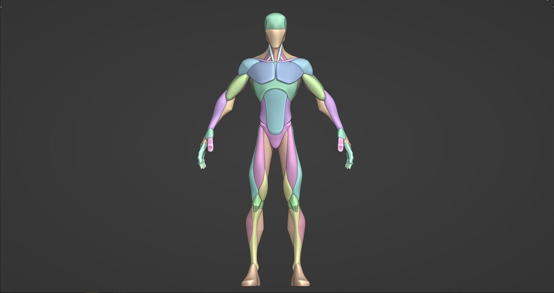 Stylized Male Anatomy Blockout V2 3D model | CGTrader