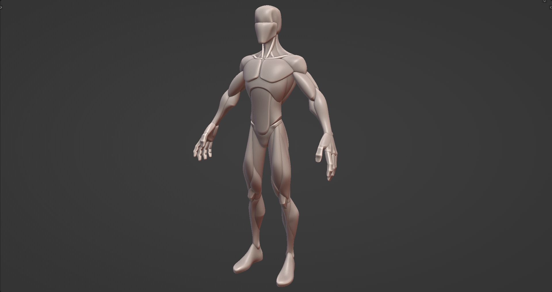 Stylized Male Anatomy Blockout V2 3D model | CGTrader