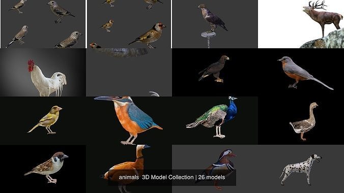 animals 3D Model Collection sparrow VR / AR / low-poly | CGTrader