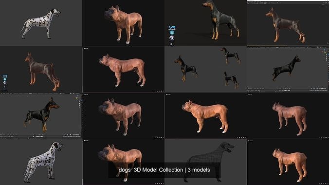 dogs 3D Model Collection | CGTrader