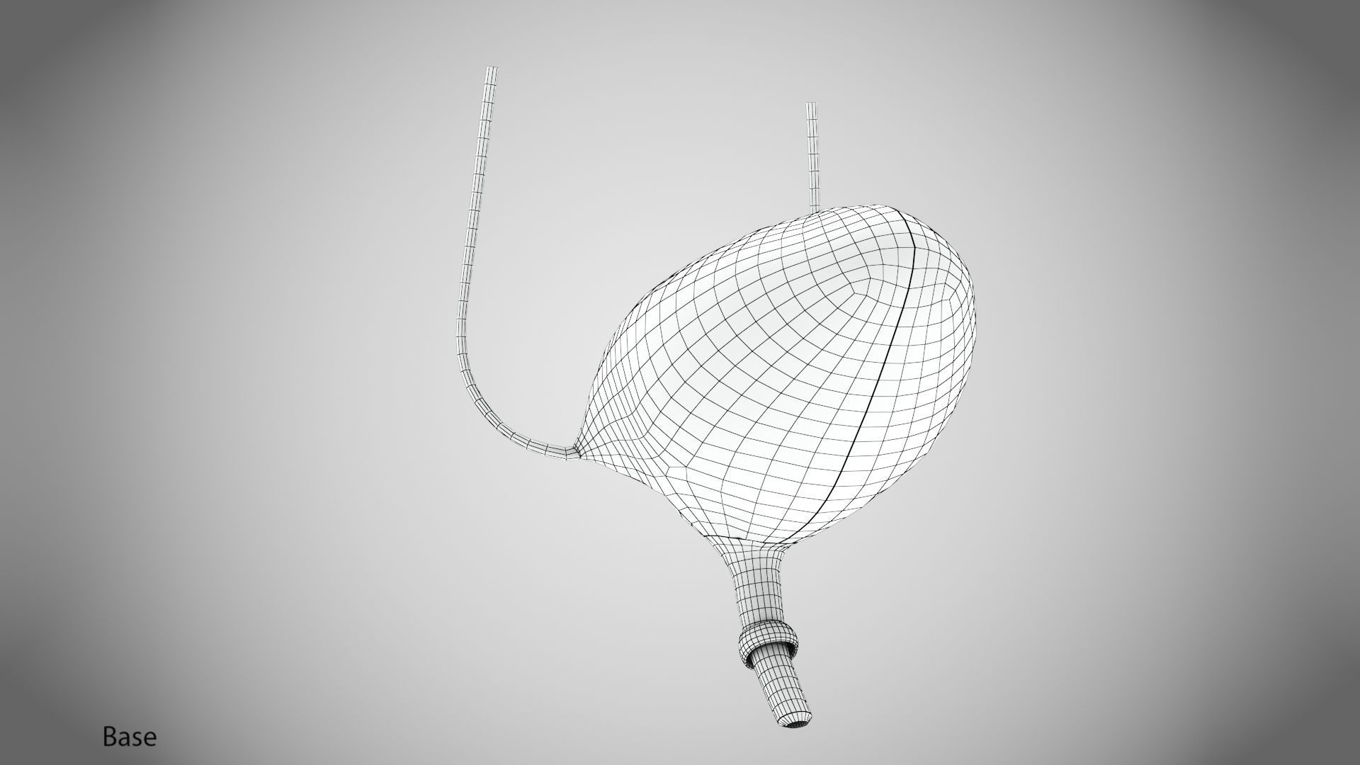 Bladder with Cross-Section 3D model | CGTrader