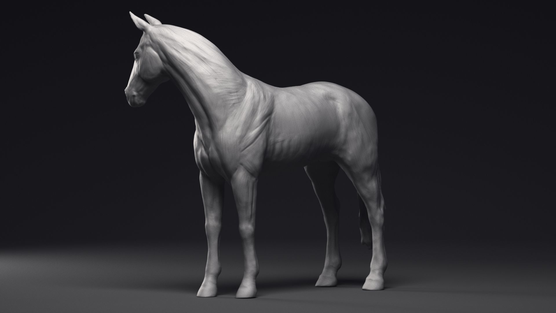 Study of a Horse Printable 3D Model 3D model 3D printable | CGTrader
