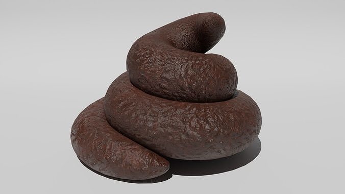 Realistic Poop 3D model | CGTrader