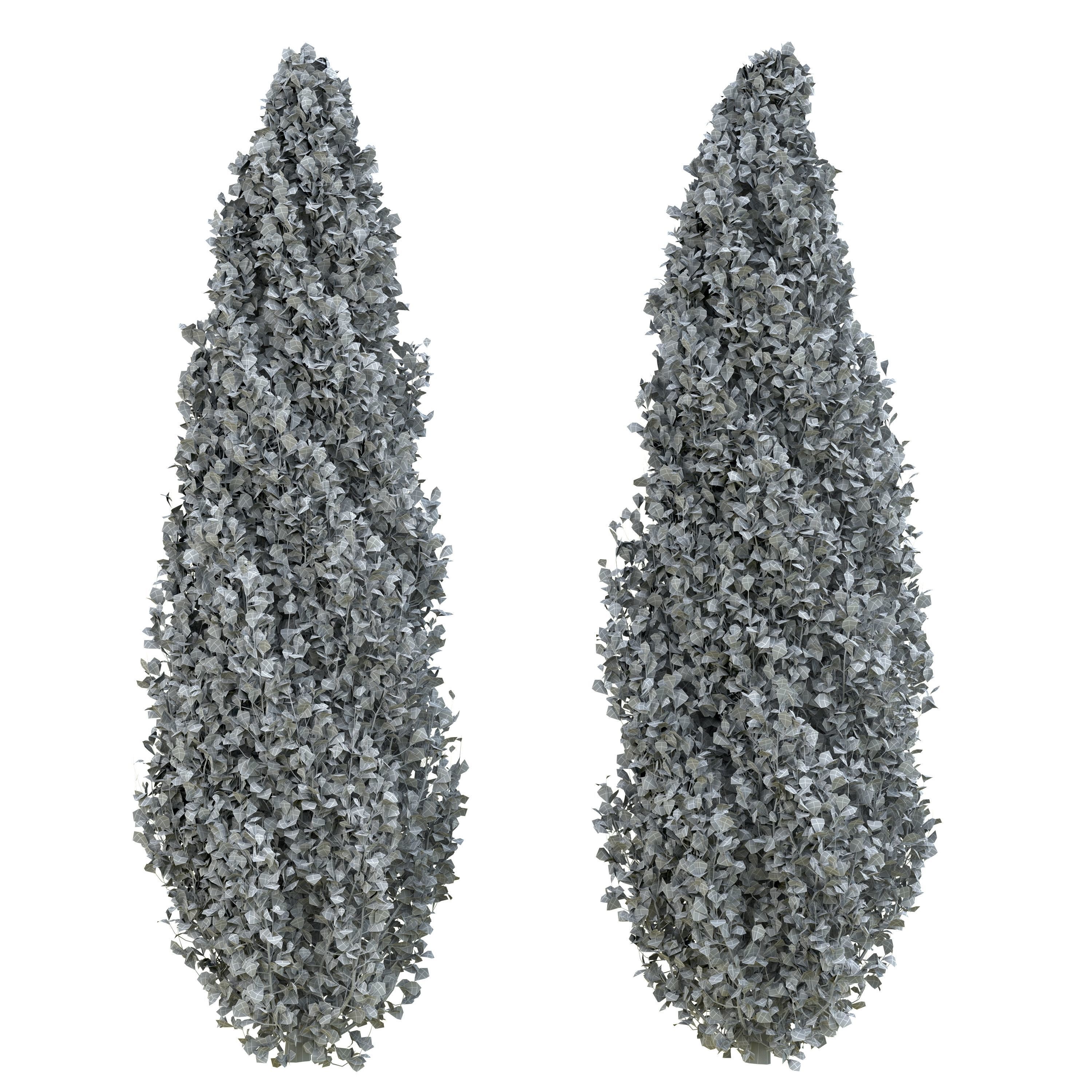 cypress three trees free 3D model | CGTrader