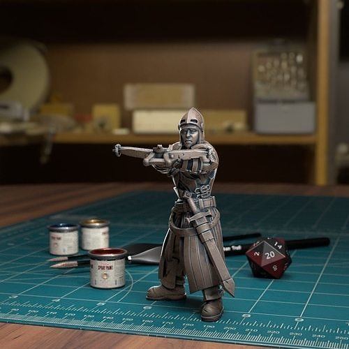Female Guard Crossbow - Pre-Supported 3D model 3D printable | CGTrader