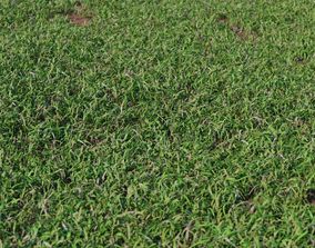 Low-poly Grass 3D Models | CGTrader