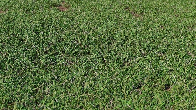 3D model Photorealistic Low Poly Grass Lawn Meadows VR / AR / low-poly ...