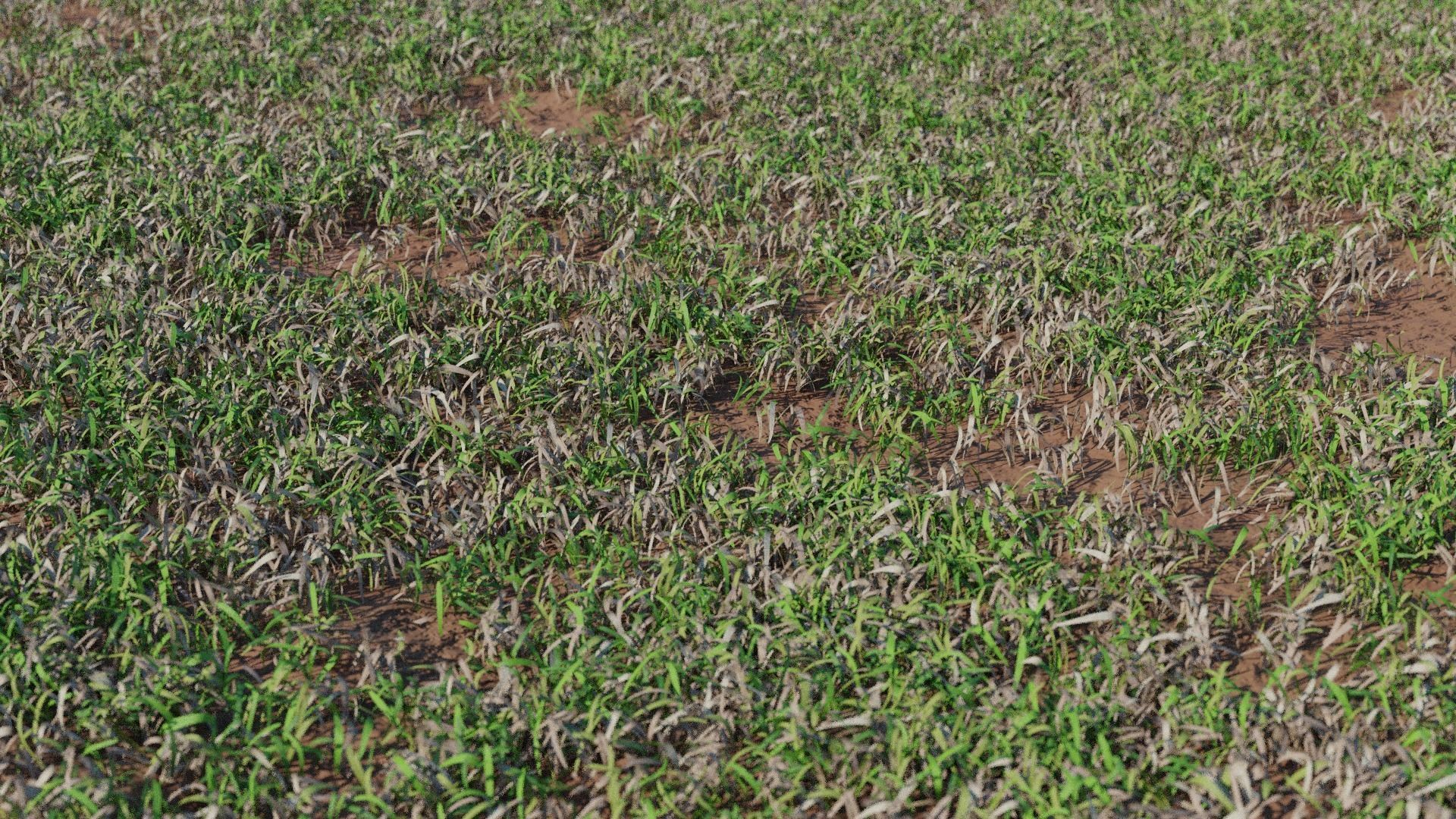 3D model Photorealistic Low Poly Grass Lawn Meadows VR / AR / low-poly ...