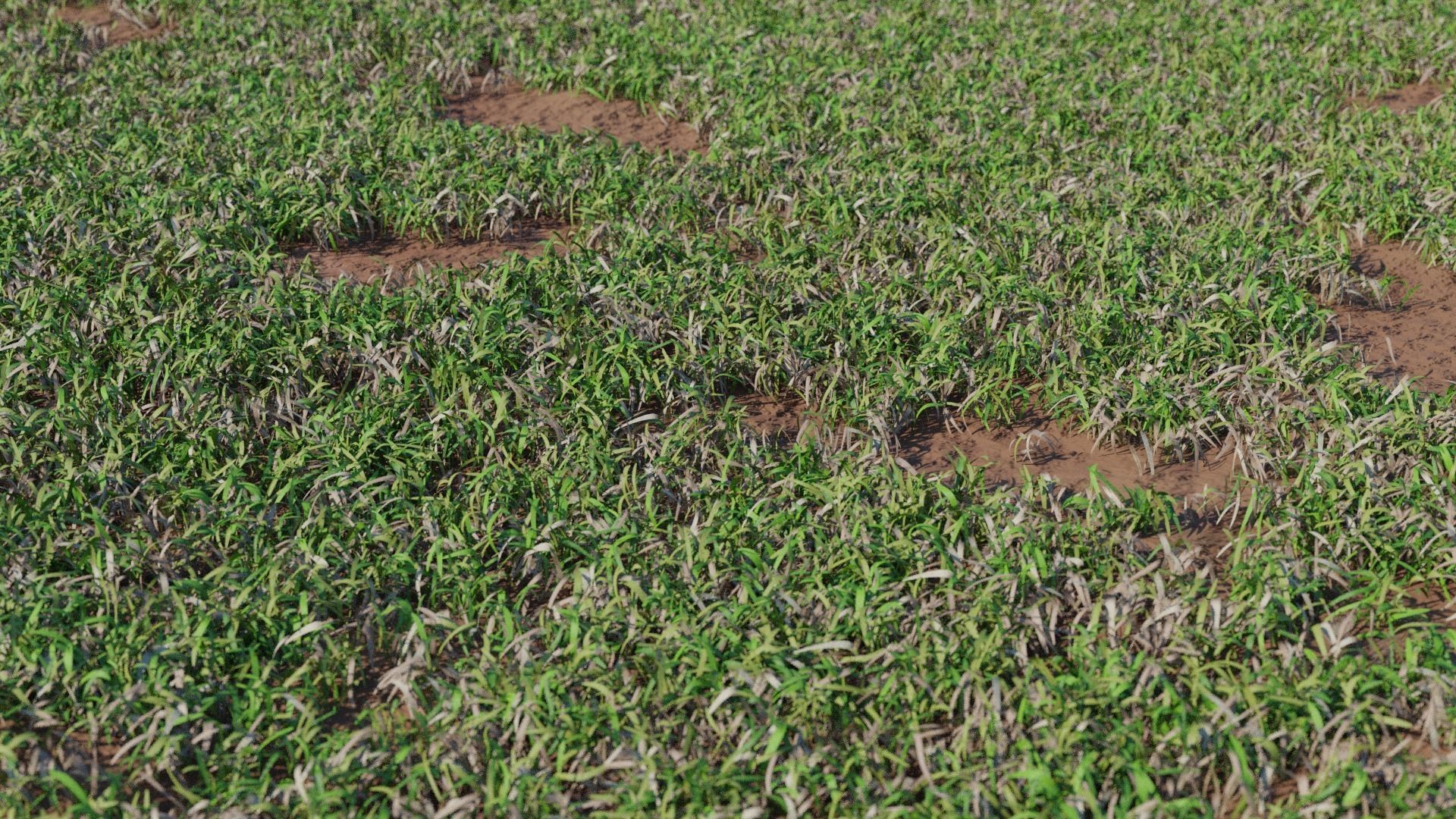 3D model Photorealistic Low Poly Grass Lawn Meadows VR / AR / low-poly ...