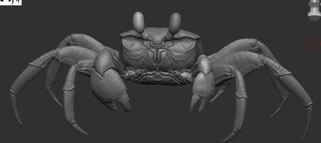 Crab Ghost crab Sand crab 3D model | CGTrader