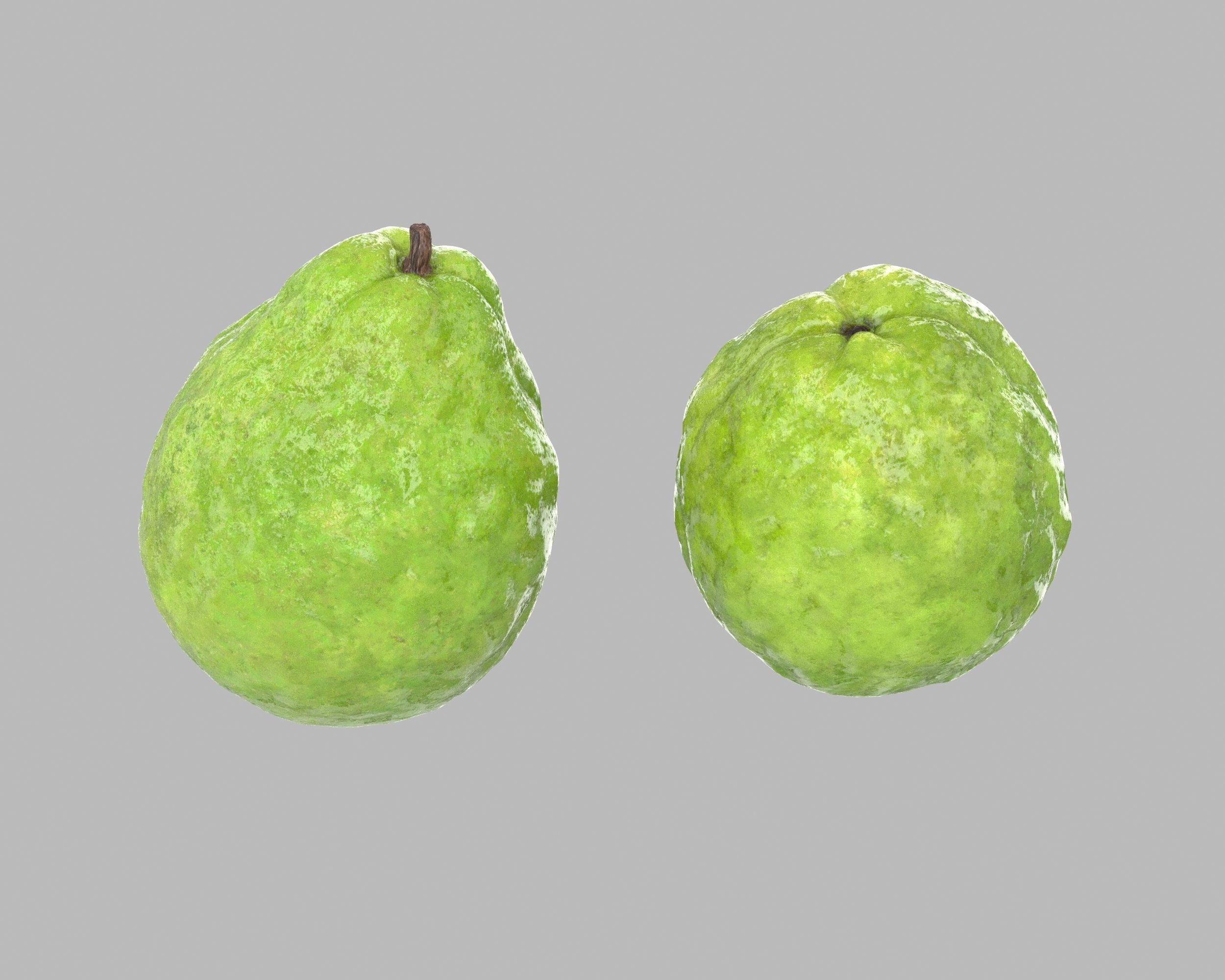 Guava 3D model | CGTrader
