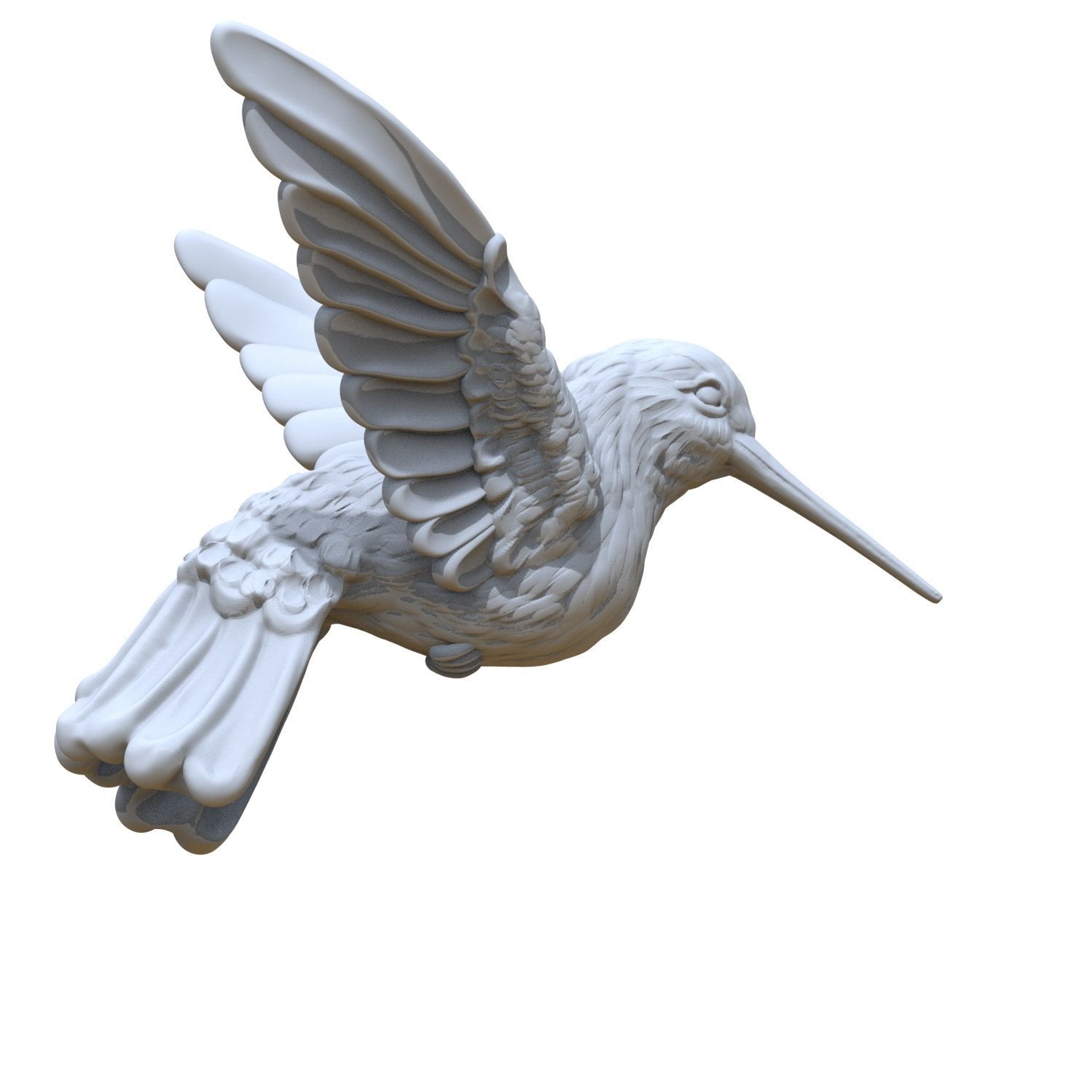 Hummingbird- colibri 3D model 3D printable | CGTrader