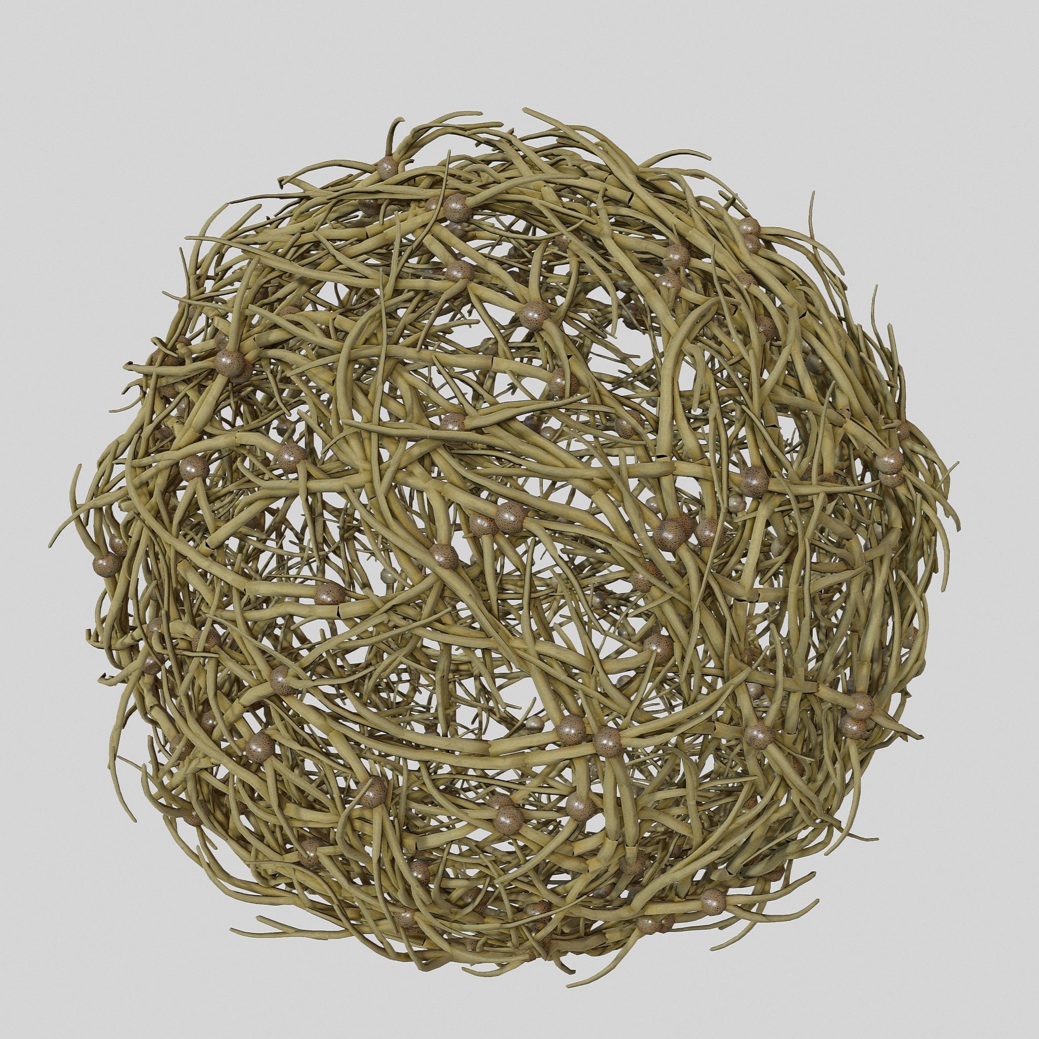 Tumbleweed stylized 3D model | CGTrader