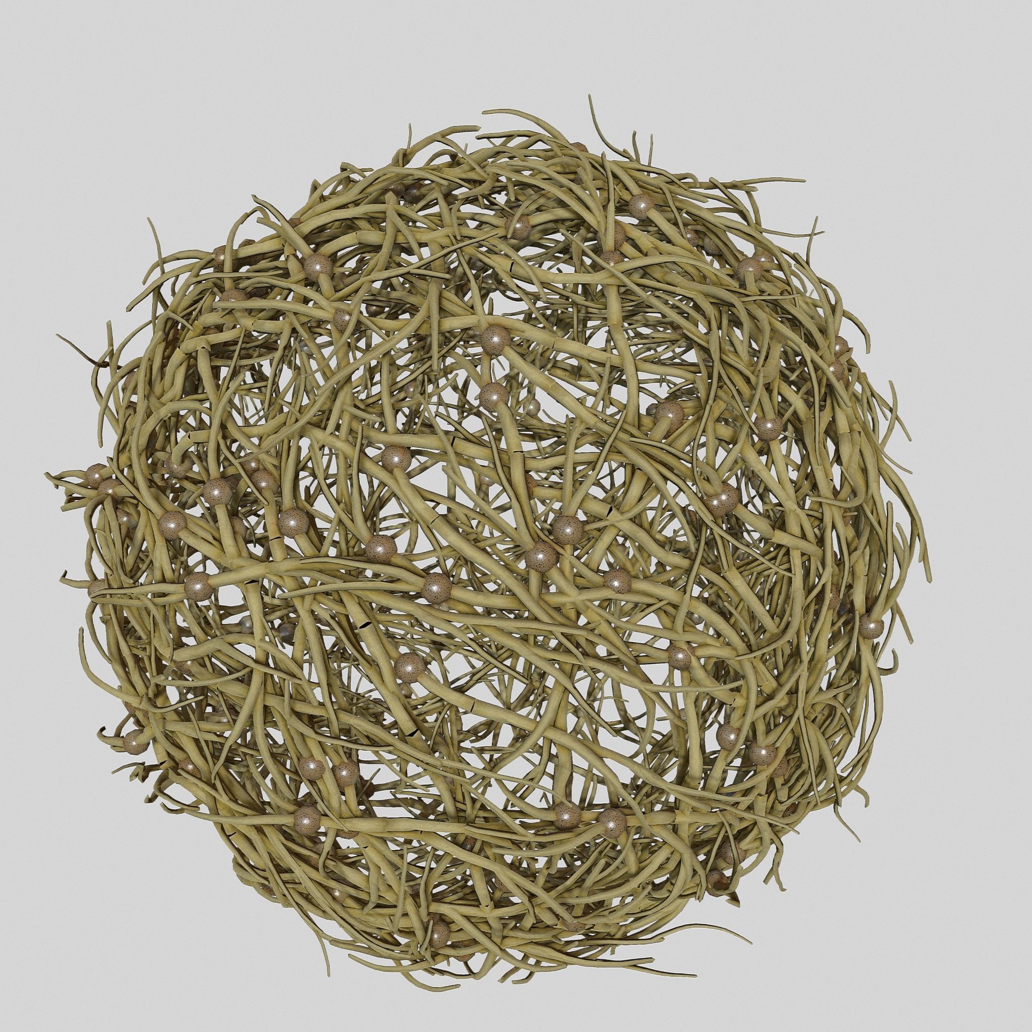 Tumbleweed stylized 3D model | CGTrader