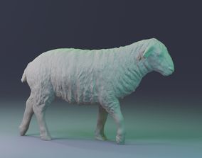 Sheep 3D Printing Models | CGTrader