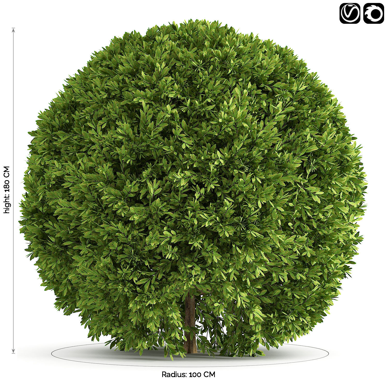 Spherical Bushes 3D model | CGTrader