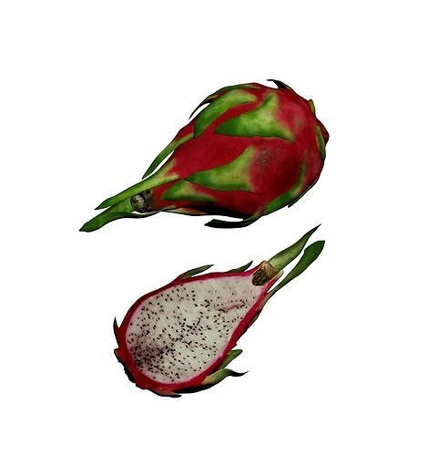 Dragon Fruit 3D model | CGTrader