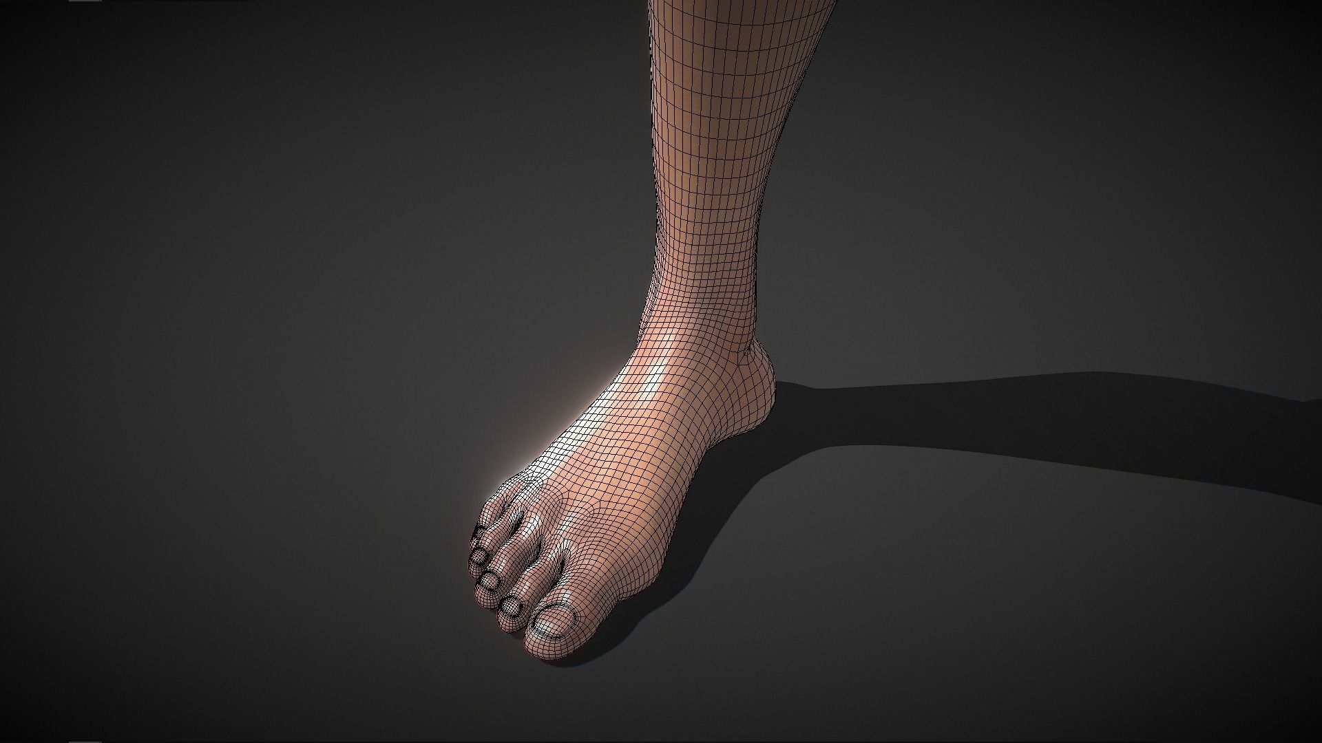 Fit Male Anatomy - Leg and Foot base mesh 3D model | CGTrader