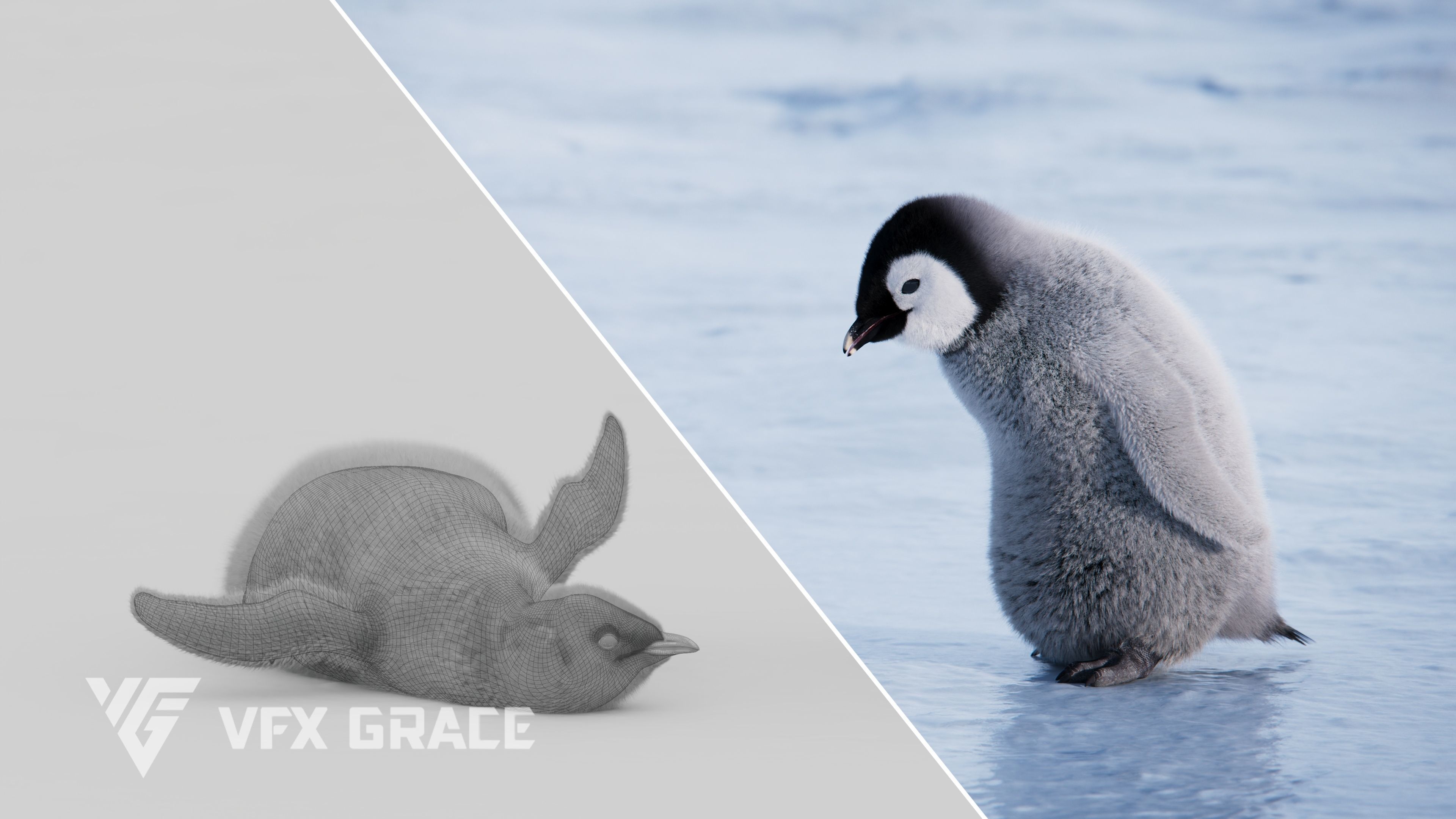 Baby Emperor Penguin Animated VFX Grace 3D model animated rigged | CGTrader
