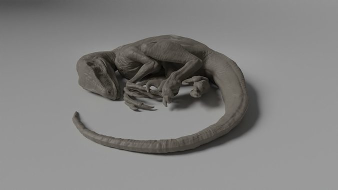 Sleeping Jurassic Park Raptor Ready for 3D printing 3D model 3D ...