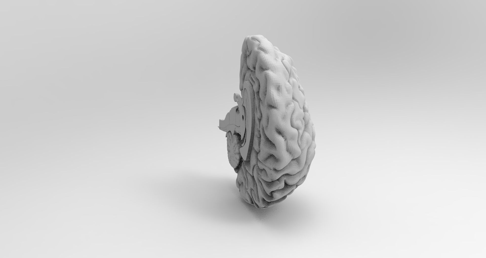 Human brain 3D model 3D printable | CGTrader