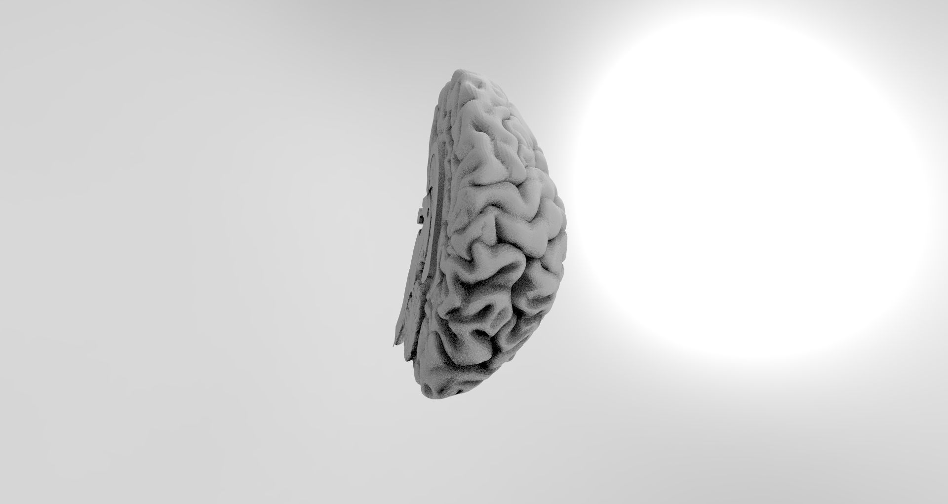 Human brain 3D model 3D printable | CGTrader