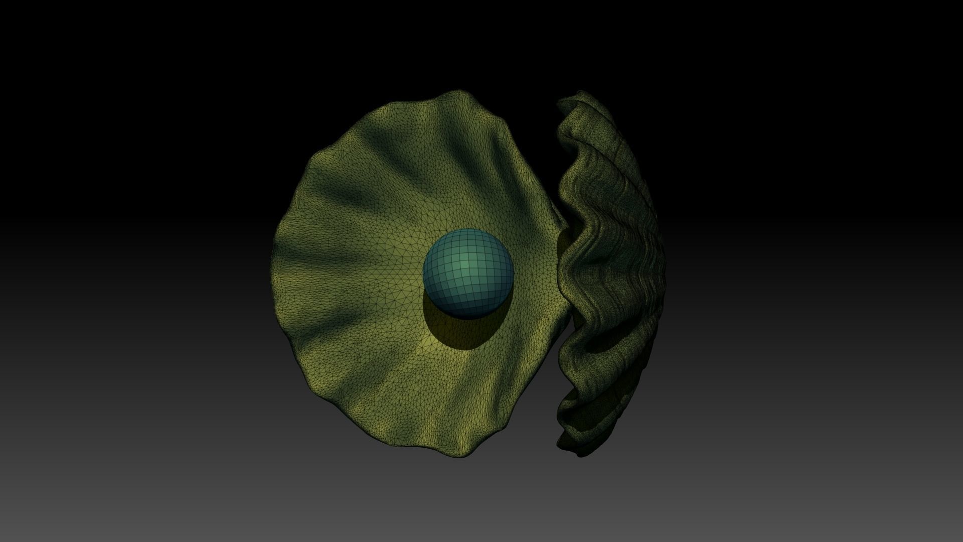 shell 3D model | CGTrader