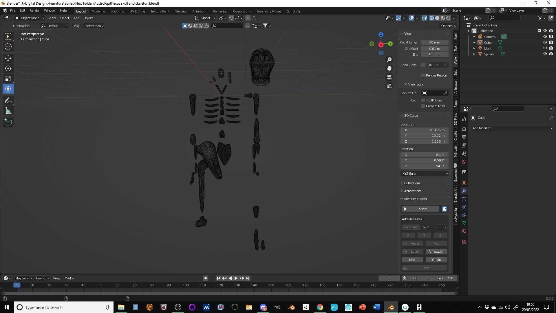3D model Australopithecus skull and skeleton VR / AR / low-poly | CGTrader