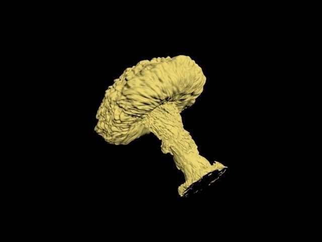 Atomic bomb mushroom cloud 3D model 3D printable | CGTrader
