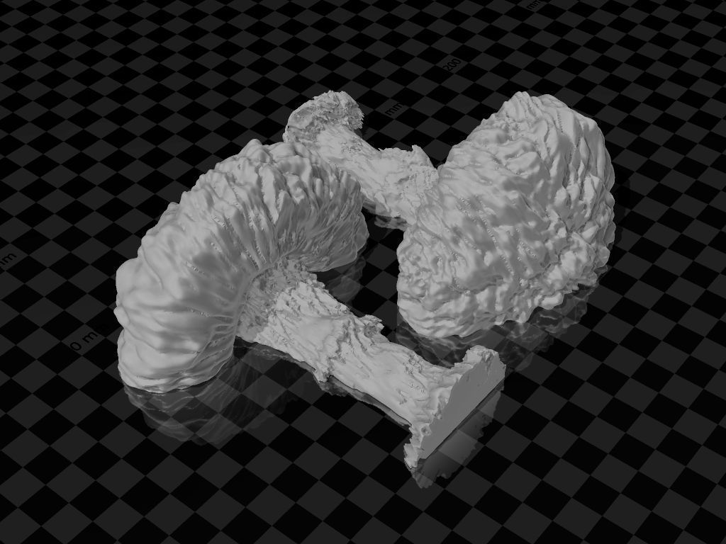 Atomic bomb mushroom cloud 3D model 3D printable | CGTrader