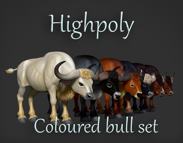 Highpoly bull colour set 3D model | CGTrader