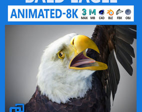 Animated Bald eagle 3D Models | CGTrader