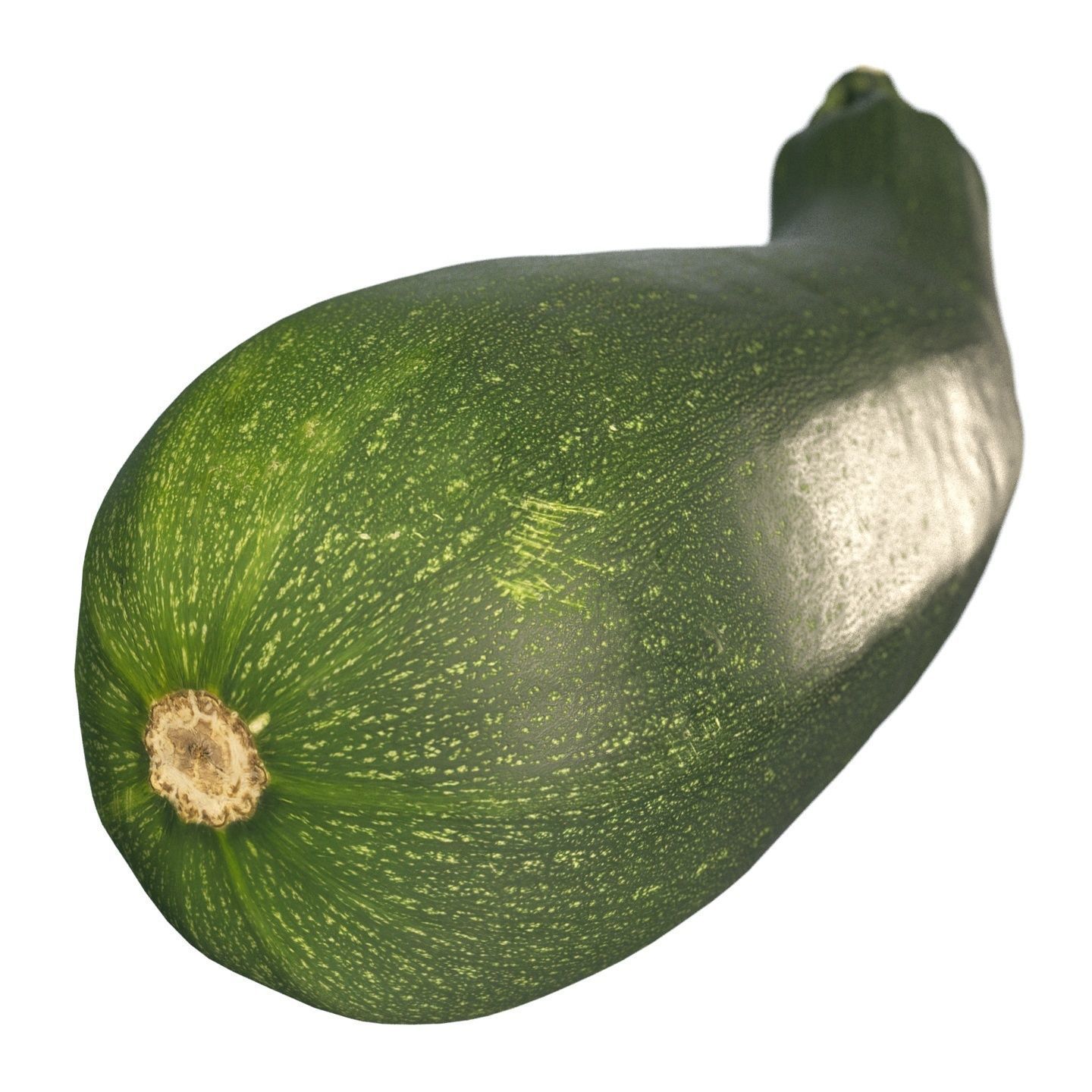 Green Zucchini 4k scanned 3D model | CGTrader