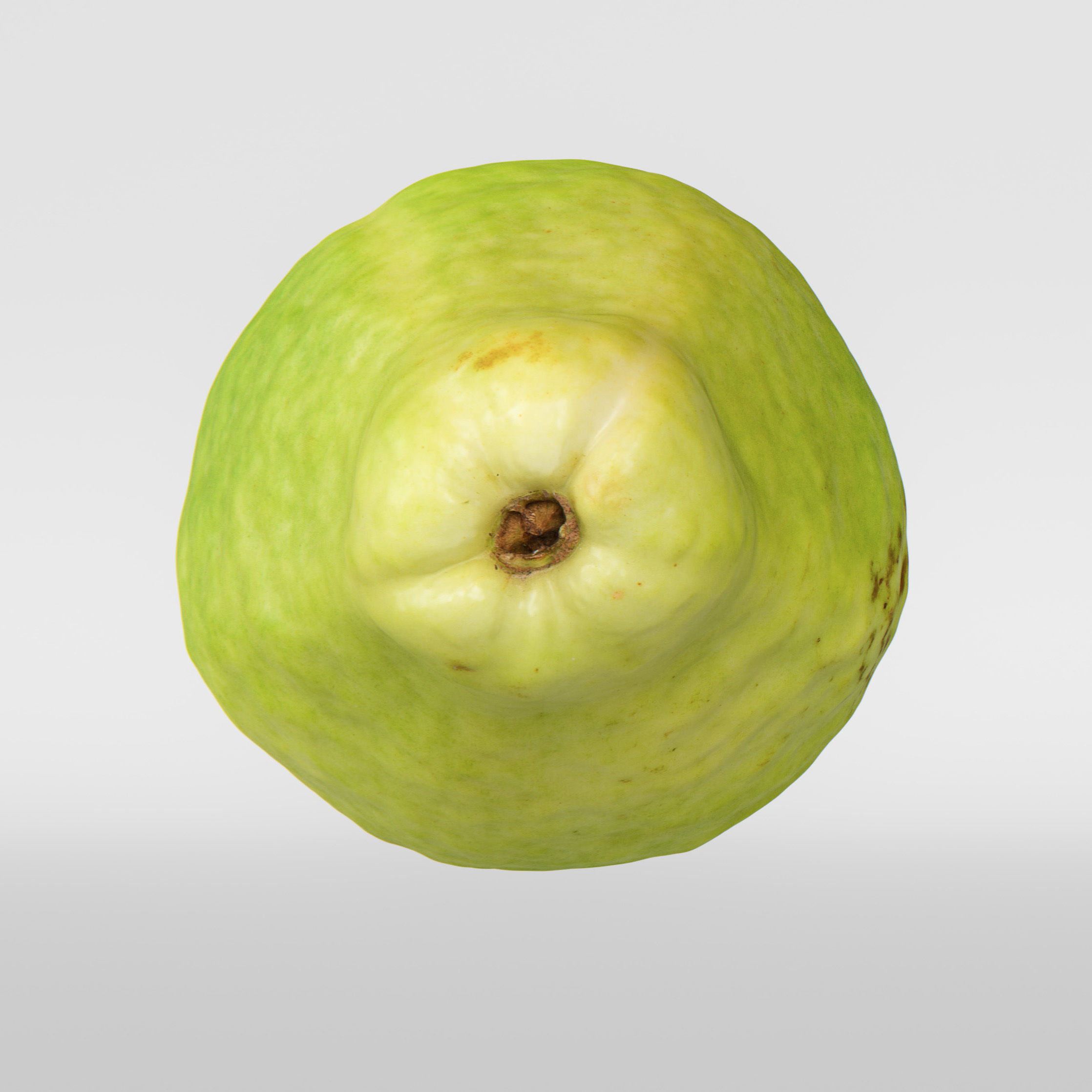 Guava 001 3D model | CGTrader