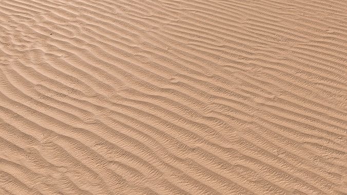 3D model Sand Beach 05 PBR VR / AR / low-poly | CGTrader