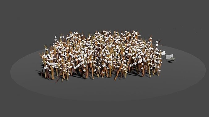 Cotton Field Low Poly 3D model | CGTrader