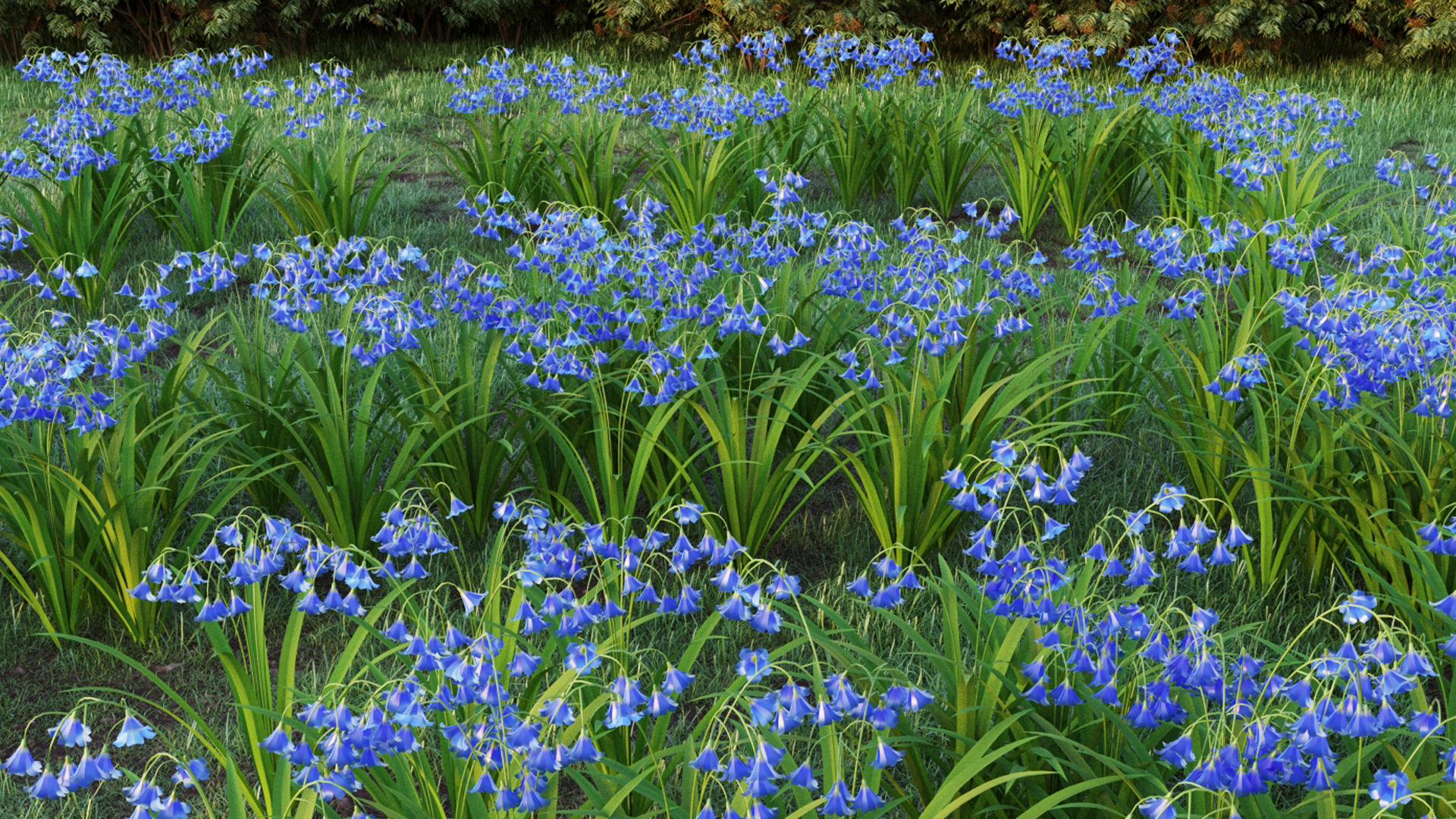 Bluebell flower 3D model | CGTrader
