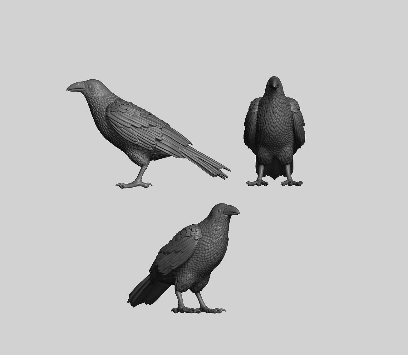 Raven 3D print model 3D model 3D printable | CGTrader