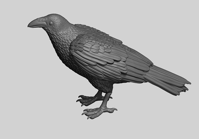 Raven STL File 3D Model Print 3D Printing Sculpting & Forming Craft Supplies & Tools etna.com.pe
