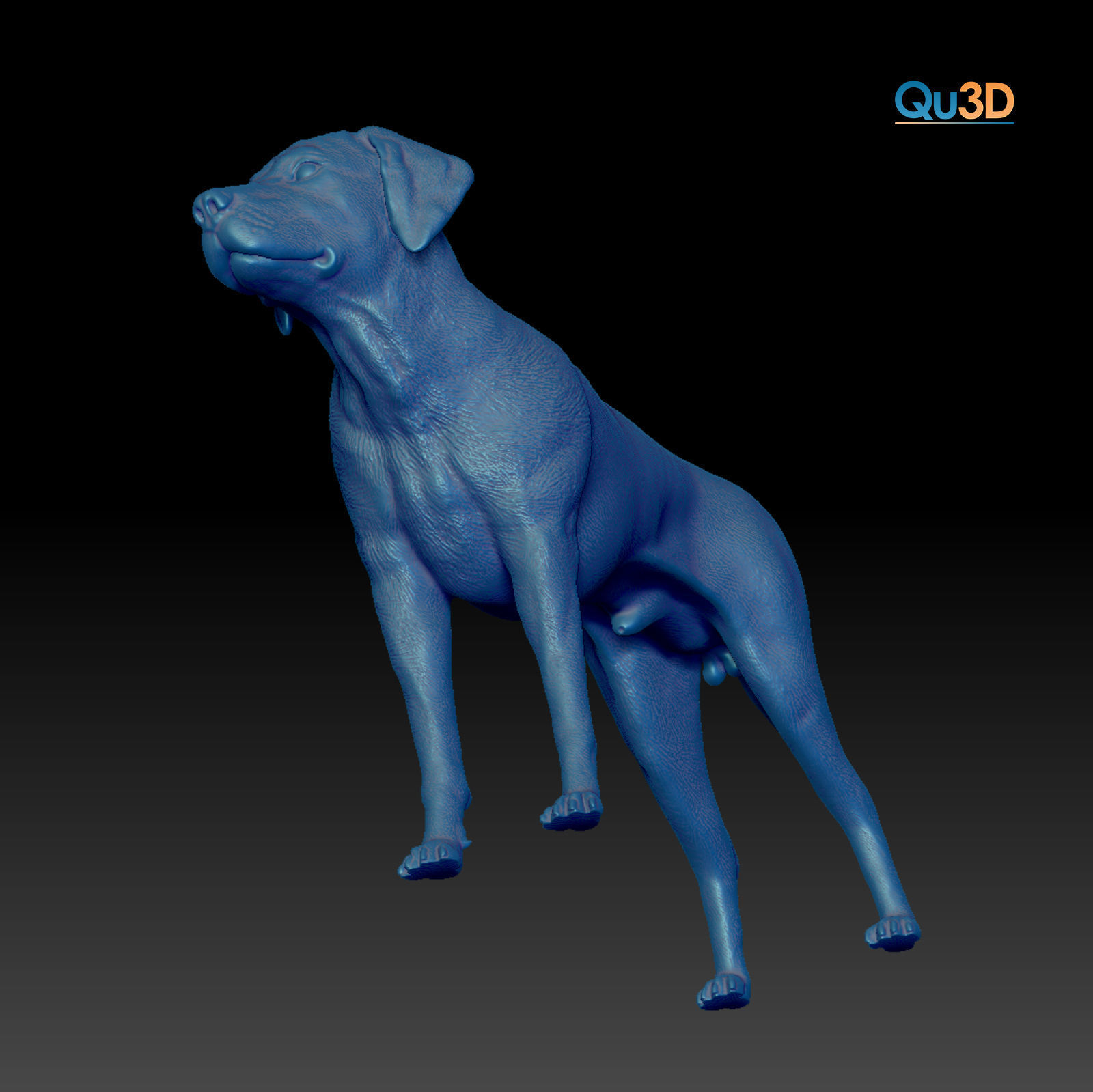 Rhodesian Ridgeback- full body-High-end 3D print model highpoly 3D ...