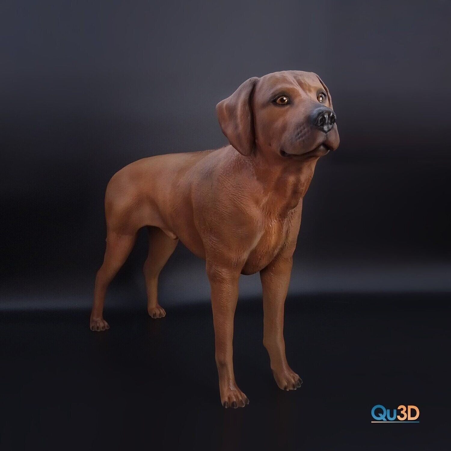 Rhodesian Ridgeback- full body-High-end 3D print model highpoly 3D ...