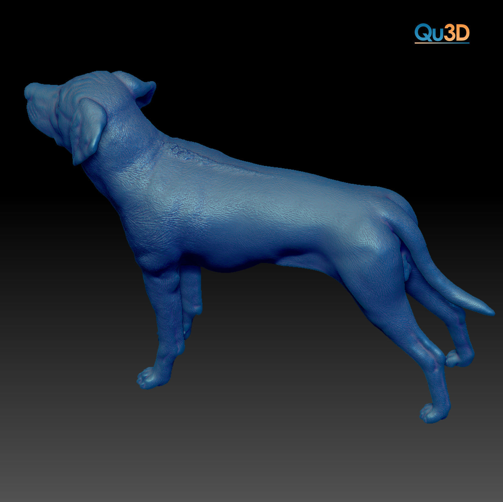 Rhodesian Ridgeback- full body-High-end 3D print model highpoly 3D ...